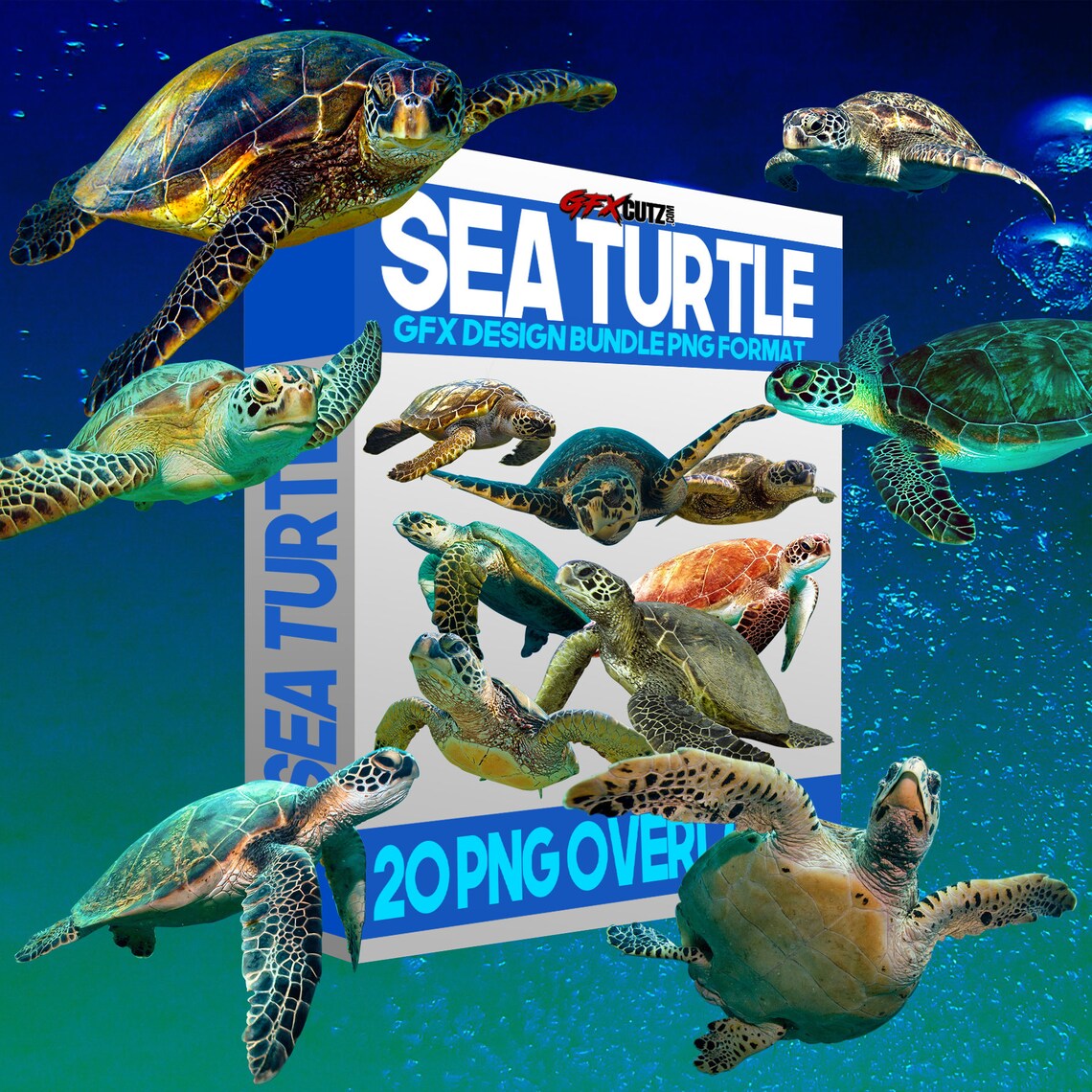 Sea Turtle Photoshop Overlay Bundle in PNG Format sea Turtle | Etsy