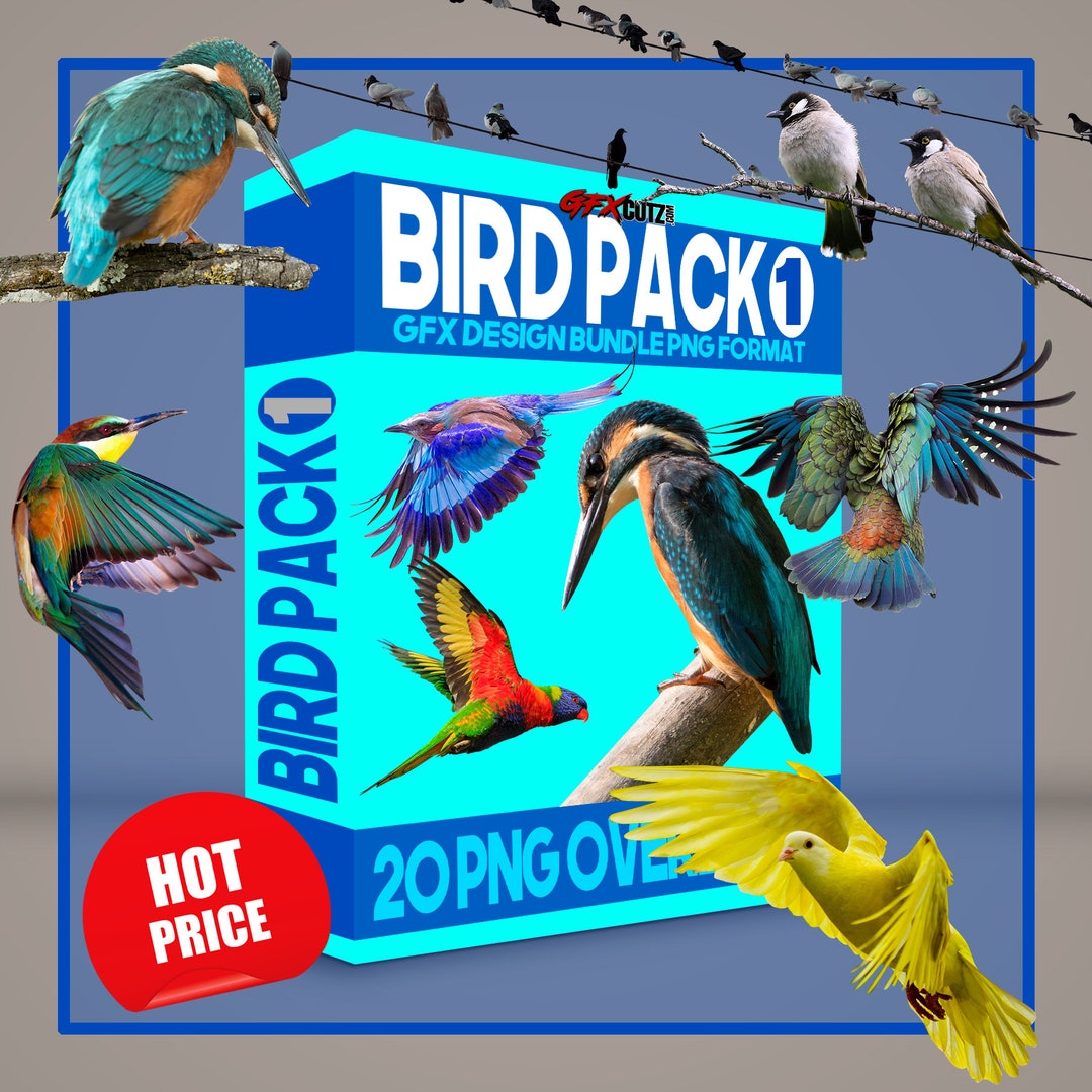 Bird Photoshop Overlays, Great for Compositing or Photo Manipulation ...
