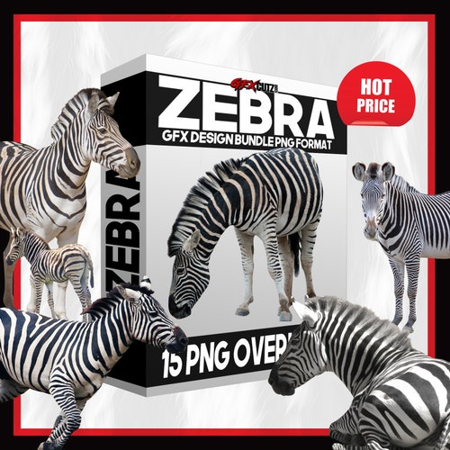 MIT Circus Podium Step Digital Overlay | Etsy