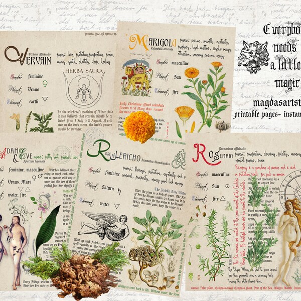 Herb Magic - Etsy