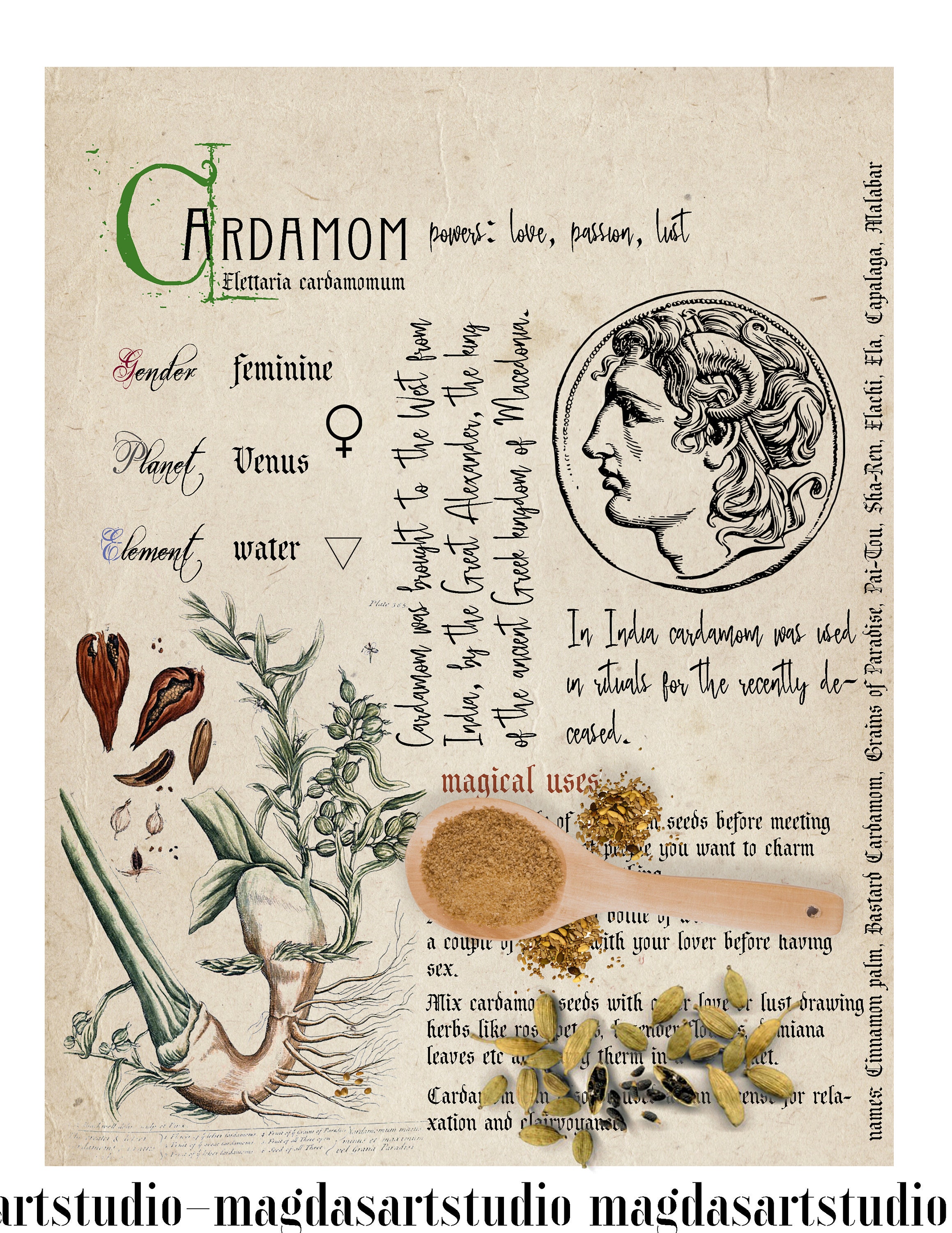 Book of Shadows, Printable, Grimoire Pages, Herb Magic, Witchcraft ...
