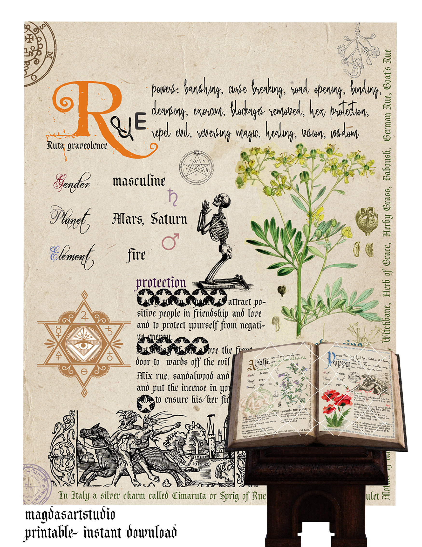 Printable, Book of Shadows, Pages, Five Pages, Herb Magic, Witchcraft ...