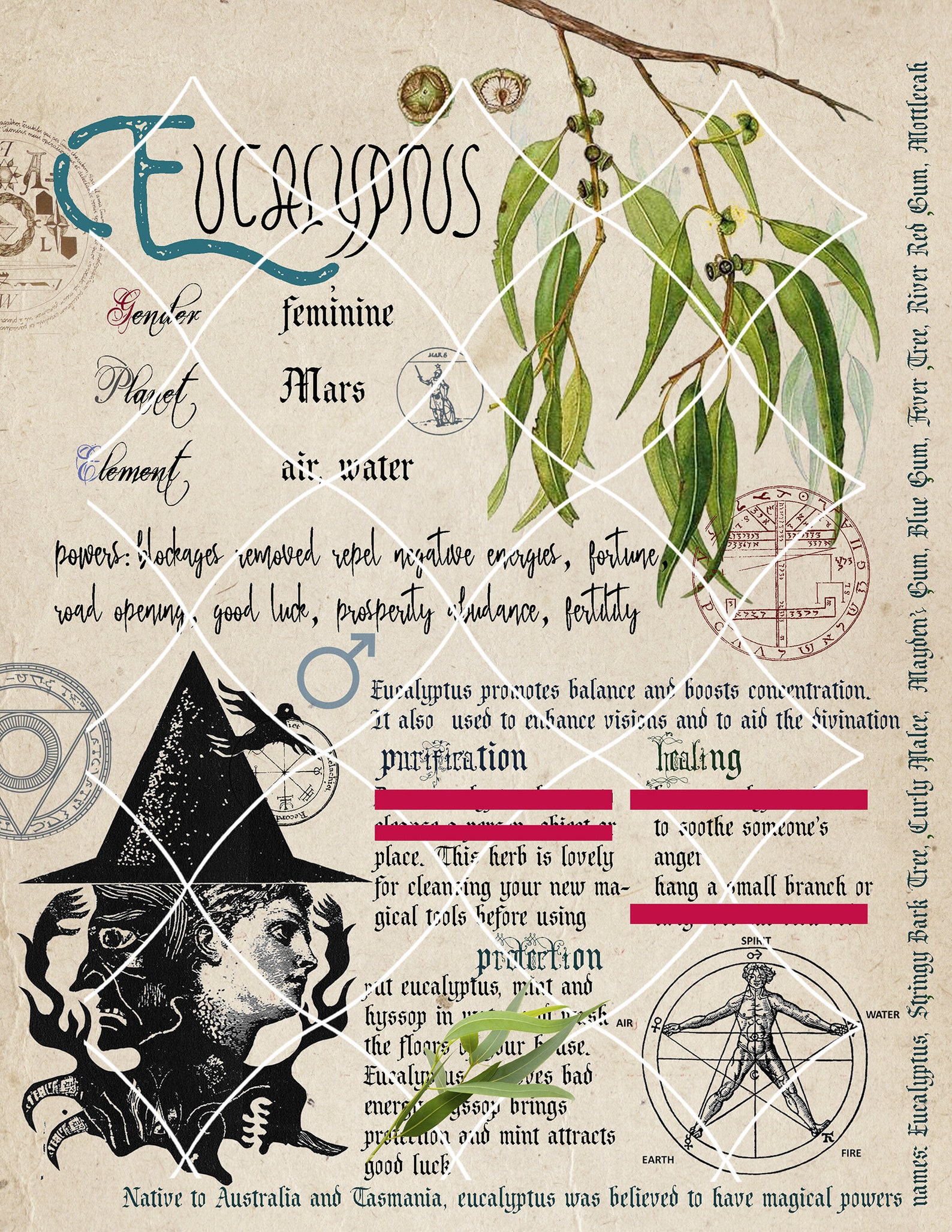 Printable, Book of Shadows, Pages, Five Pages, Herb Magic, Witchcraft ...