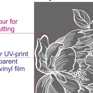 White Peony's Flowers / Decal Design / Vinyl Showcase Window Display ...