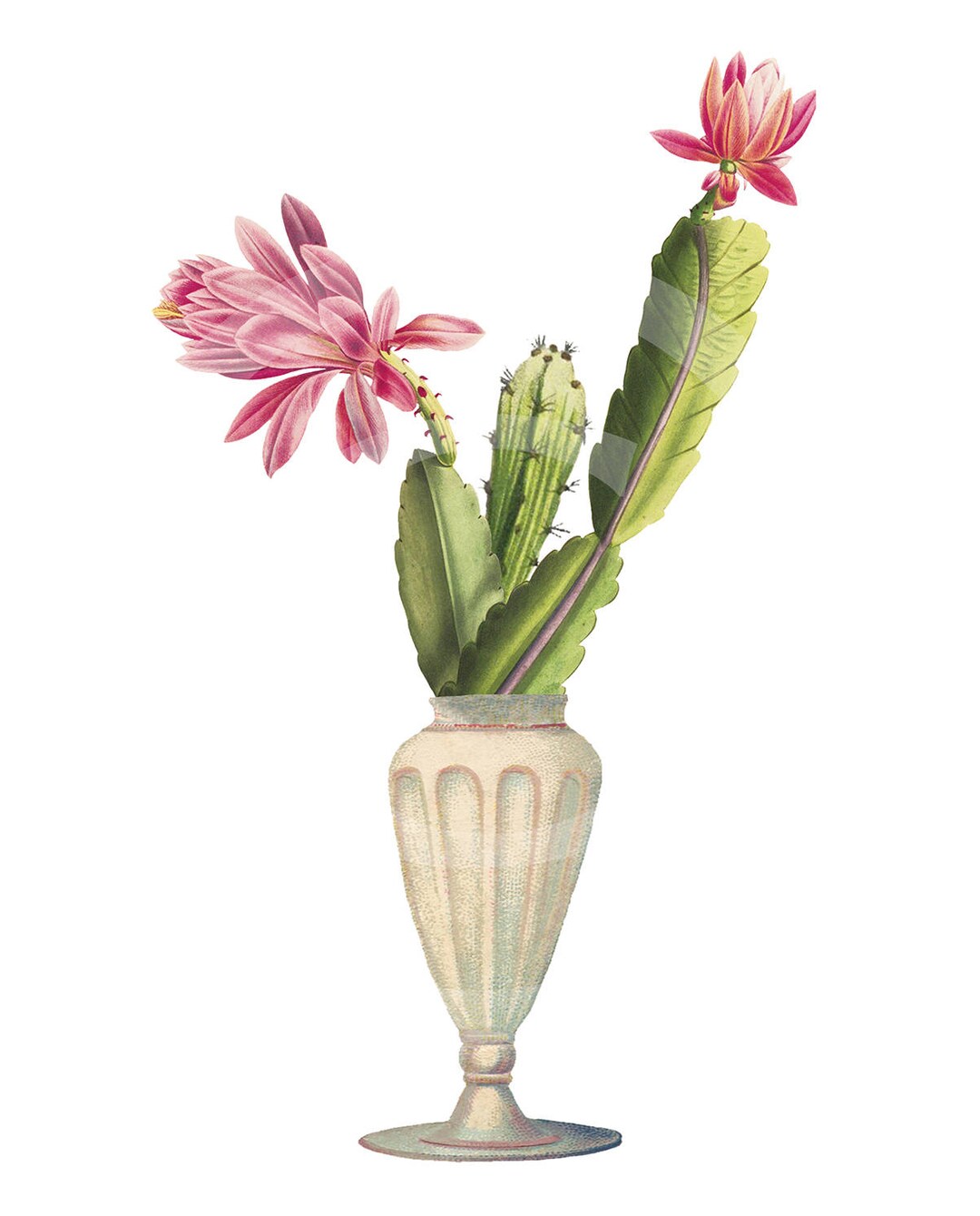 Vintage Clip-art, Cactus Clip Art, Clip Art Cactus, Cactus Download ...