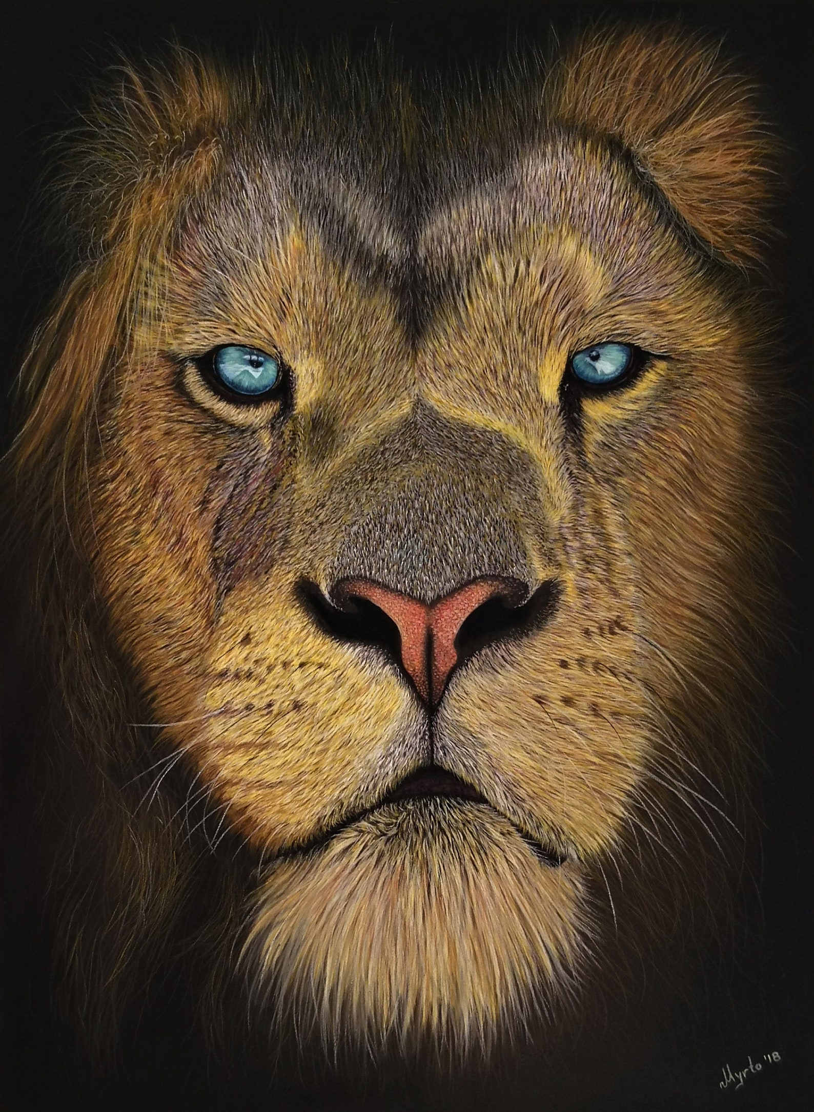 Lion Fine Art Print: the King's Gaze. Art Print of My Lion Pastel ...