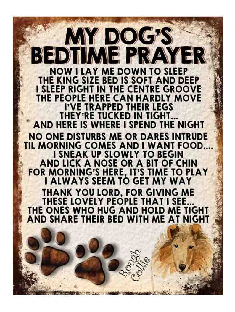 My Dog's Prayer Rough Collie Dog Retro Metal Sign / Fridge Magnet ...