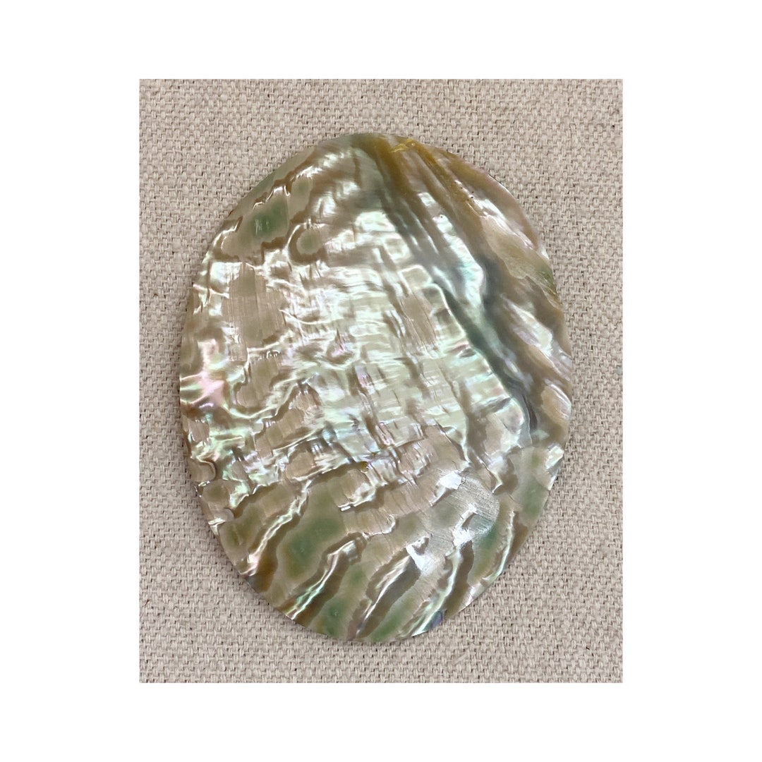 Large Vintage Abalone Shell Bolo Tie or Pendant - Etsy