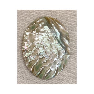 Large Vintage Abalone Shell Bolo Tie or Pendant - Etsy