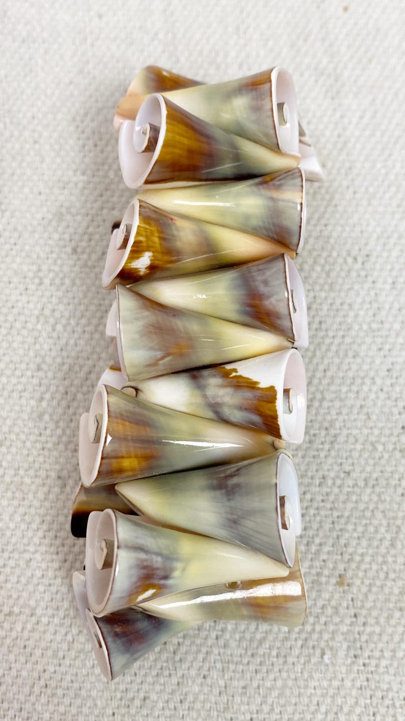 Cone Snail Beads Large Trumpet Shell Bead Stretch Bracelet - Etsy