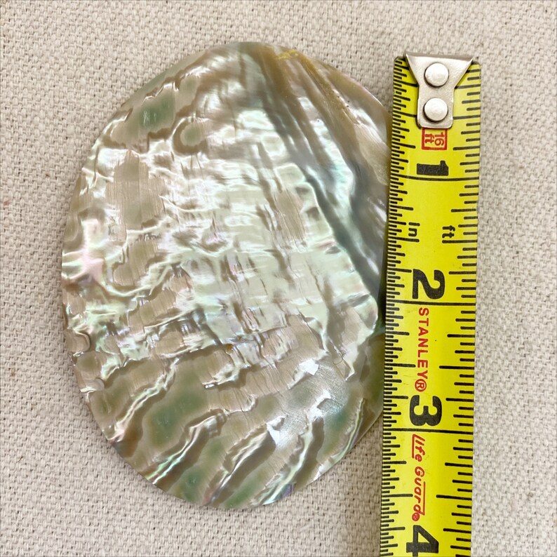 Large Vintage Abalone Shell Bolo Tie or Pendant - Etsy