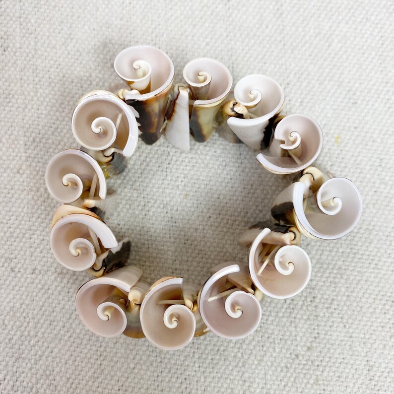 Cone Snail Beads Large Trumpet Shell Bead Stretch Bracelet - Etsy