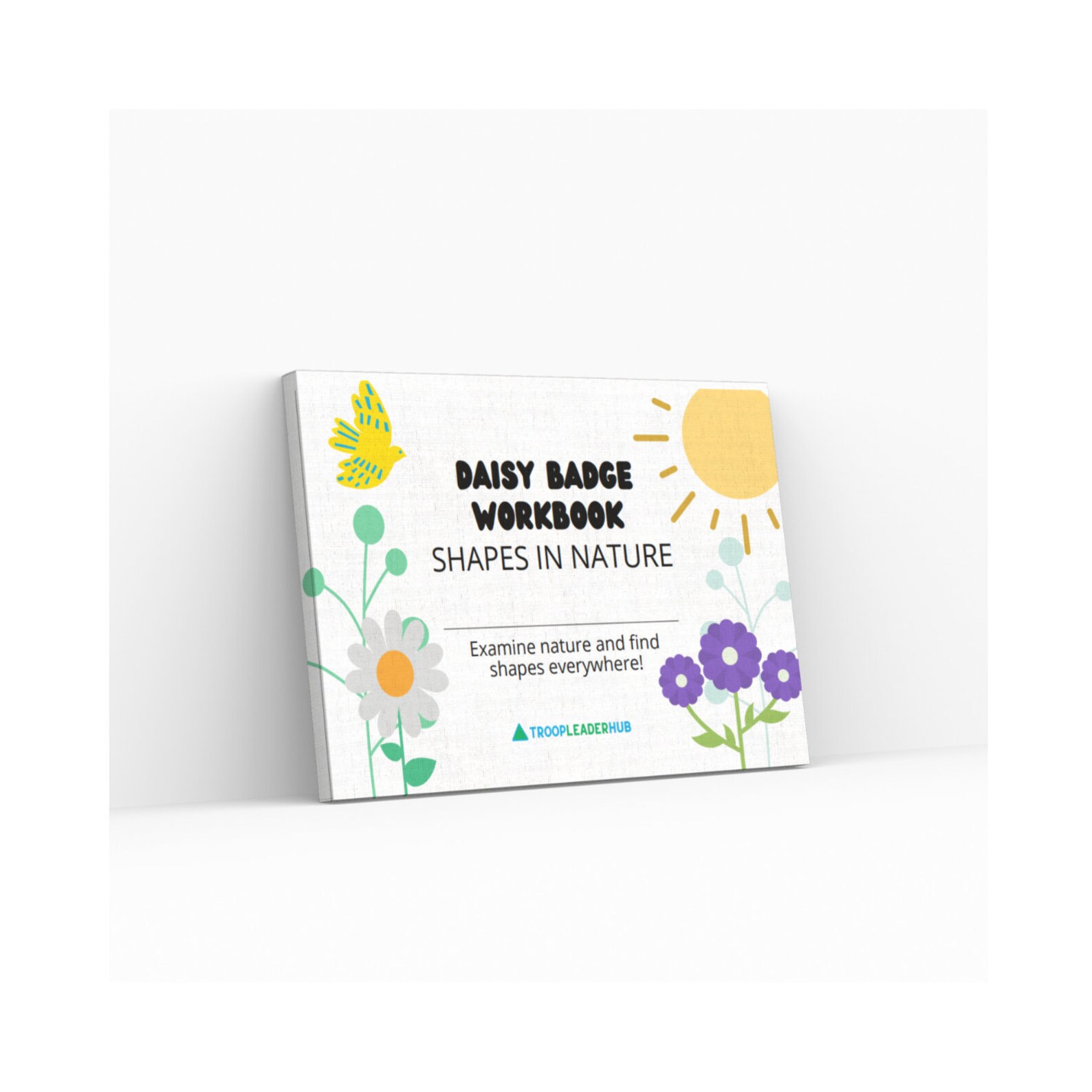 Girl Scout Daisy Shapes in Nature Badge Booklet - Girl Scouts Daisies ...