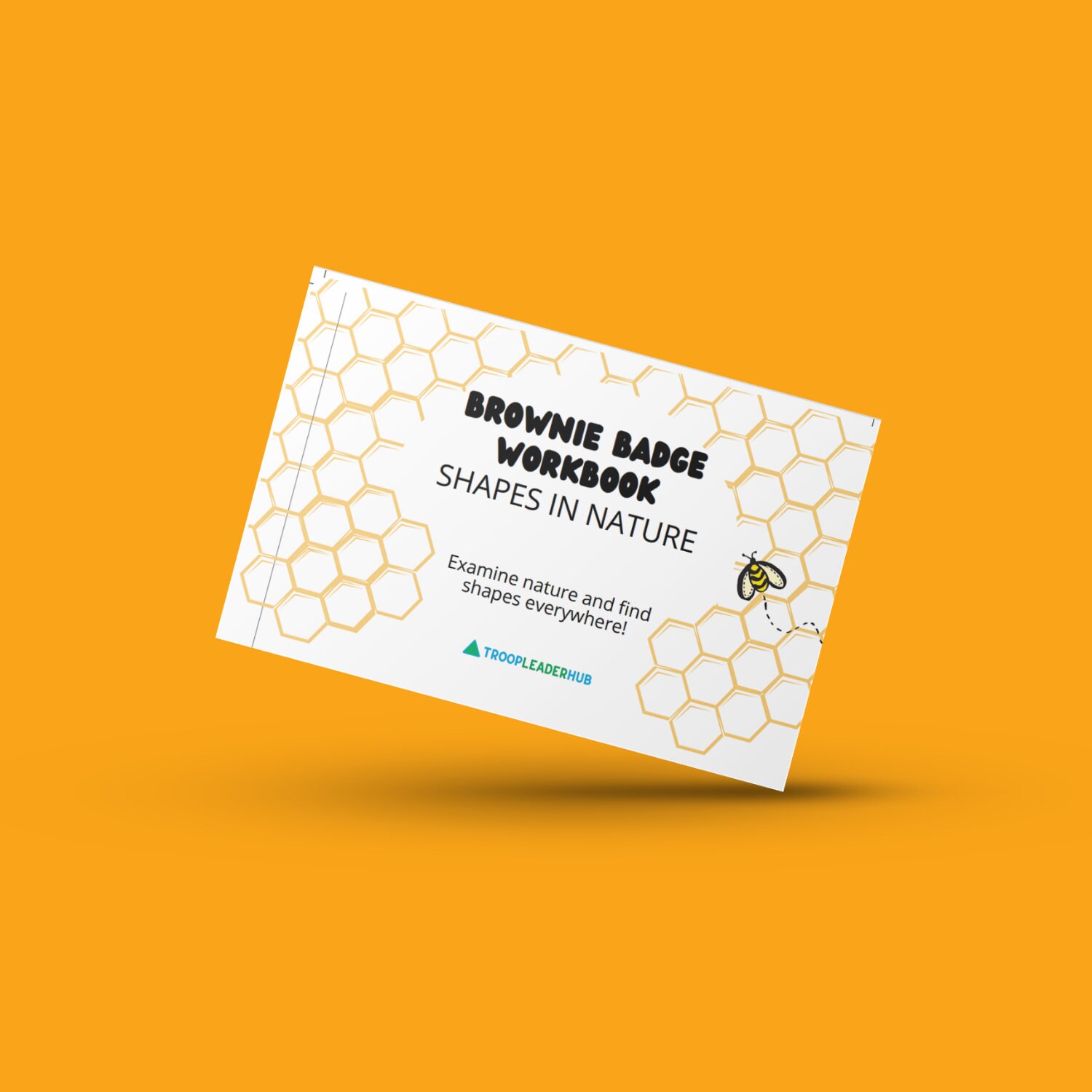 Girl Scout Brownie Shapes in Nature - Brownie Girl Scouts Badge Booklet ...