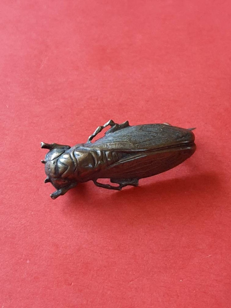 Vintage Brass South French Cicada Brooch Old Cicada Insect - Etsy