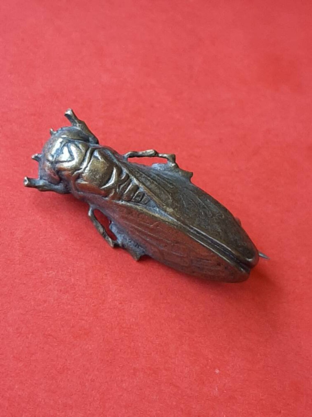 Vintage Brass South French Cicada Brooch, Old Cicada, Insect Brooch ...