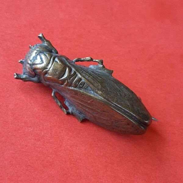 Cicada Brooch - Etsy