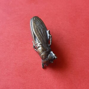 Vintage Brass South French Cicada Brooch, Old Cicada, Insect Brooch ...