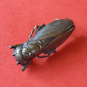 Vintage Brass South French Cicada Brooch, Old Cicada, Insect Brooch ...