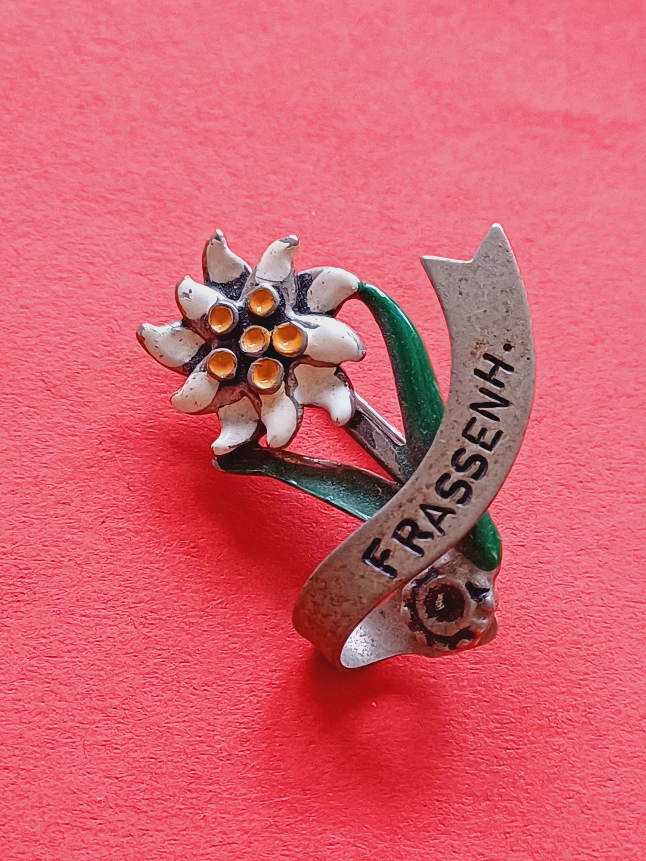 Vintage Austrian Floral Silver Plated and Enamel Brooch, Vintage ...