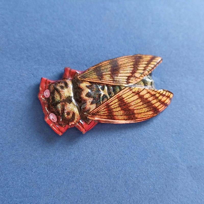 Cicada Brooch - Etsy