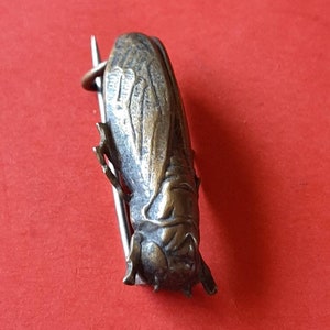Vintage Brass South French Cicada Brooch, Old Cicada, Insect Brooch ...