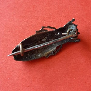 Vintage Brass South French Cicada Brooch, Old Cicada, Insect Brooch ...