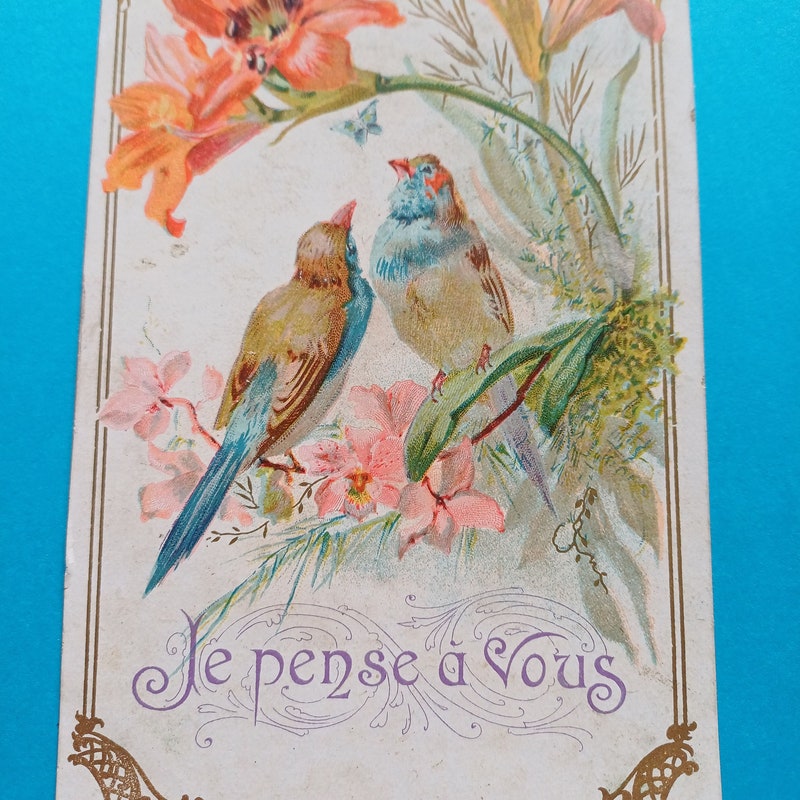 Bird Postcards - Etsy