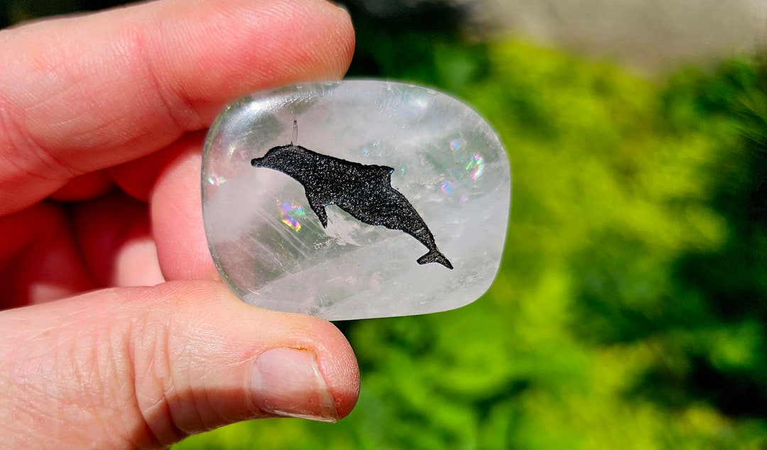 Dolphin Animal Totem Worry Stone- Gorgeous Rainbow Quartz - Etsy