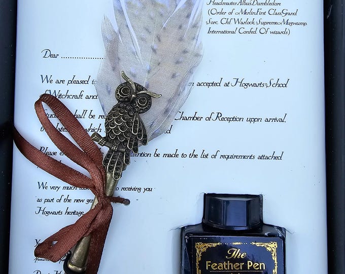 The Wizarding World Calligraphy Owl Pen With Black Ink - Etsy