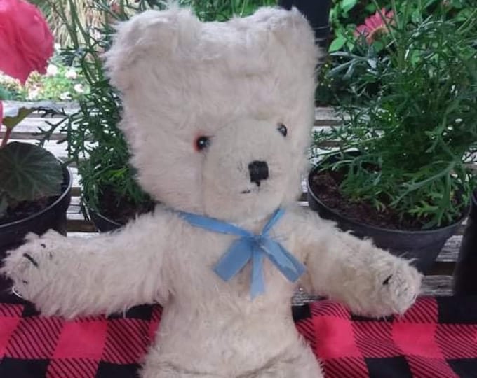 White Vintage Wendy Boston Teddy Bear From 1960s With Orange Eyes and ...