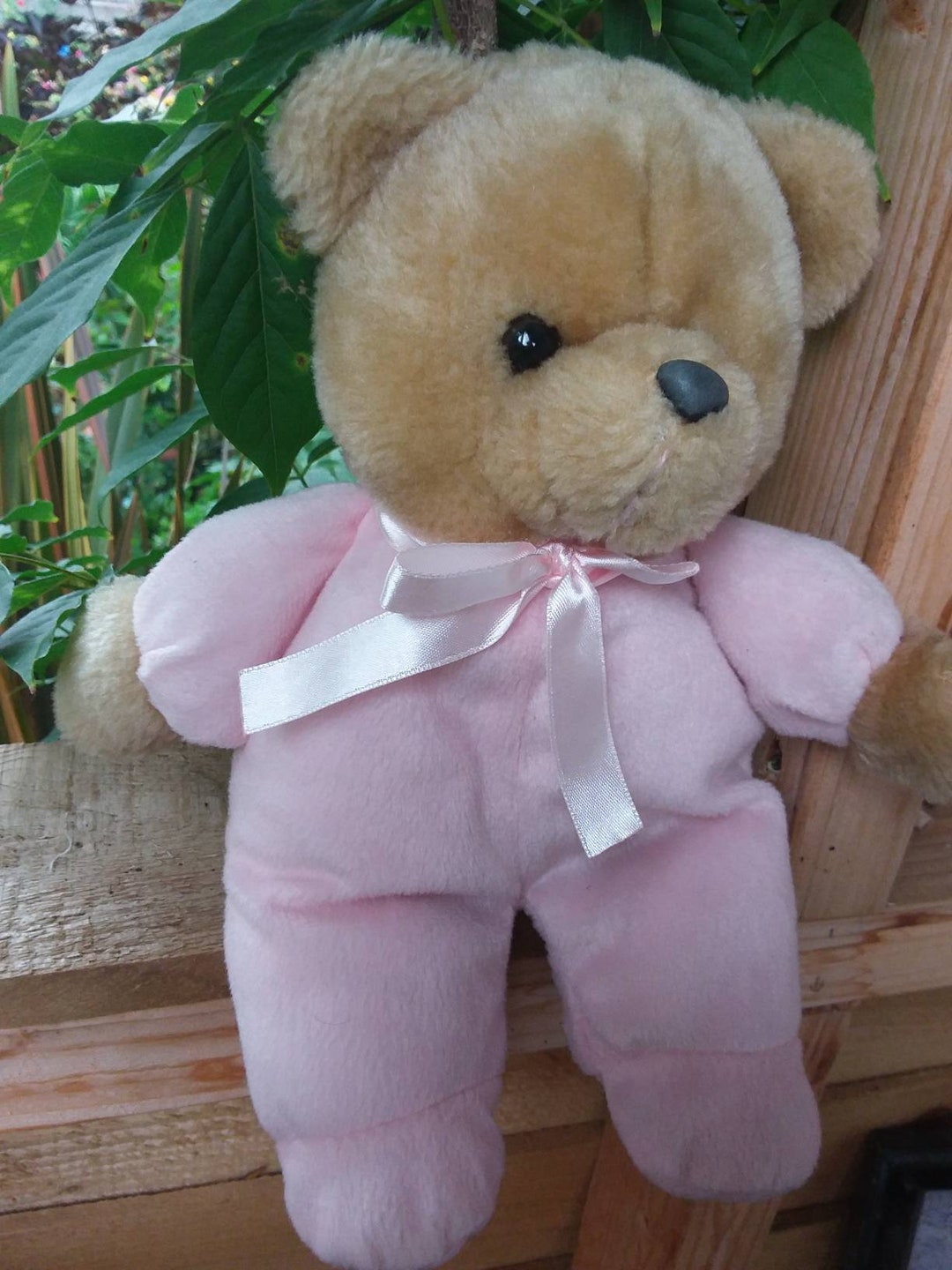 10 Soft Bear by Pms, Donated to TLC Appeal by Freemasons, Pink Colour ...
