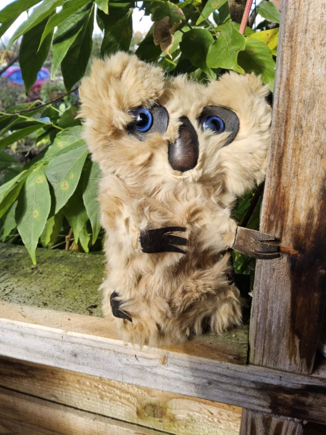 Real Fur Koala Bear/cute/50s/c18 - Etsy