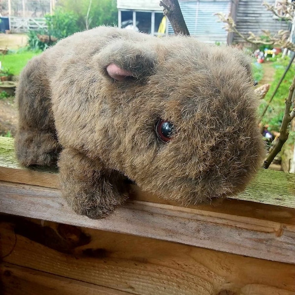 Wombat Toy - Etsy