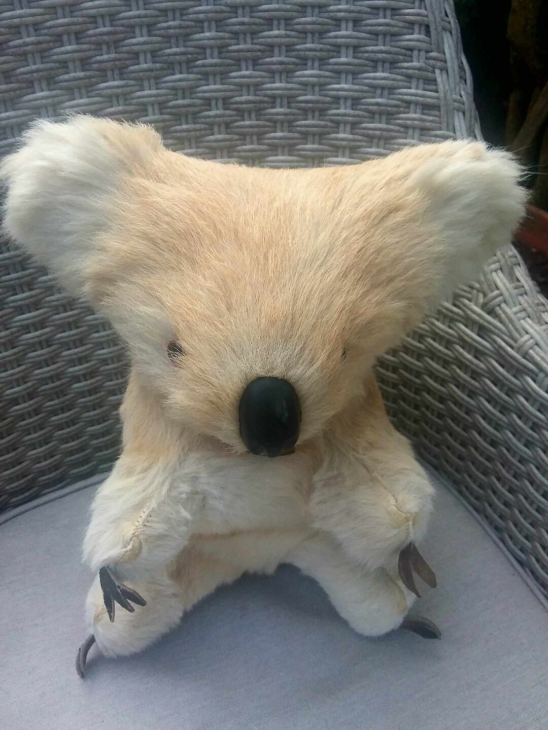Large Real Fur Koala/with Bell/glass Eyes/gc/c4 - Etsy