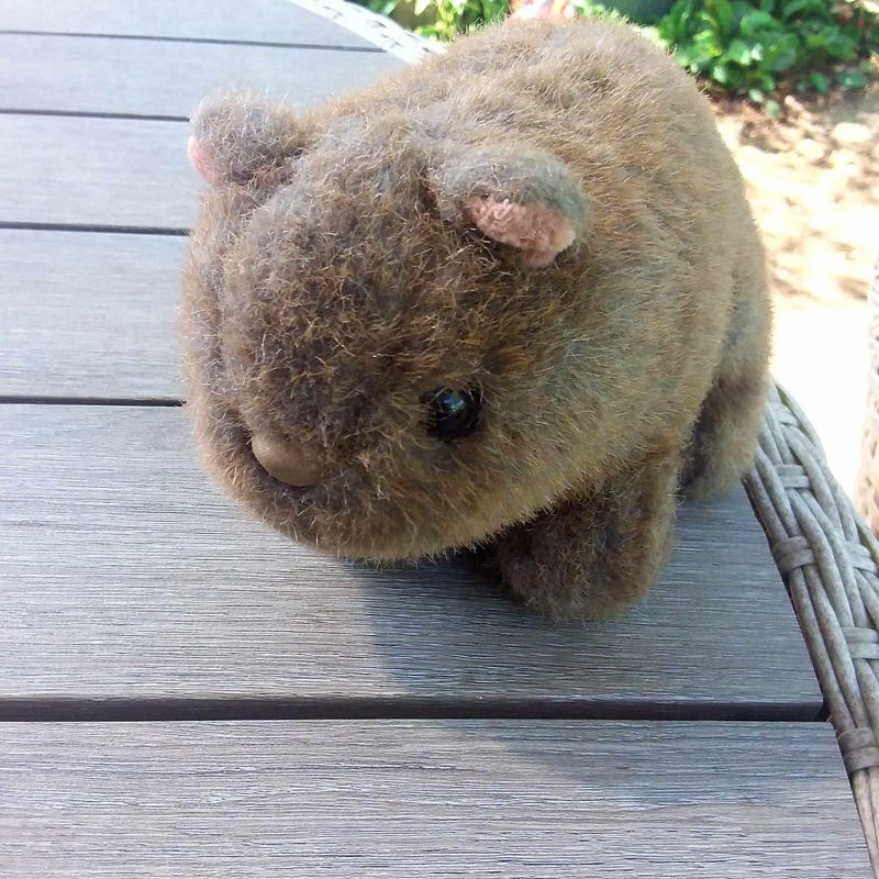 Wombat Toy - Etsy