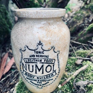 Large Antique Numol Body Builder Stoneware Jar - Etsy