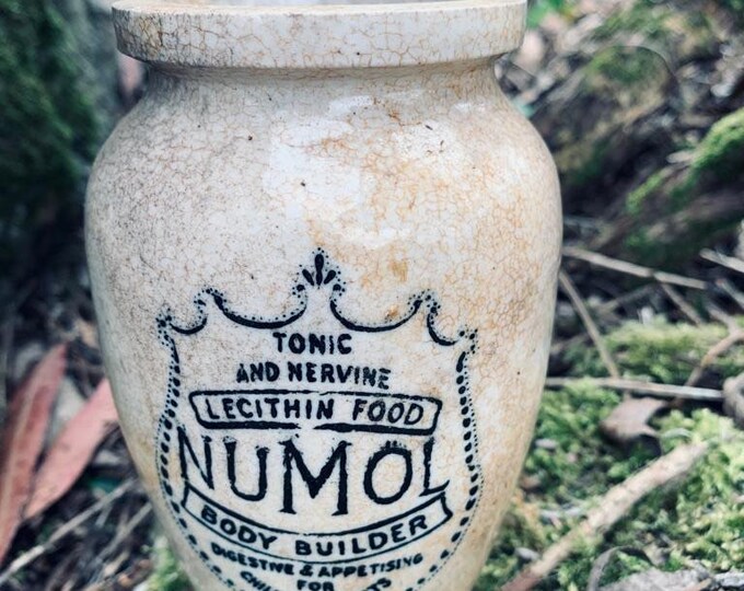 Large Antique Numol Body Builder Stoneware Jar - Etsy