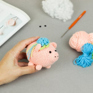 Beginner Starter Amigurumi Crochet Pig Craft Kit for Teens and Adults ...