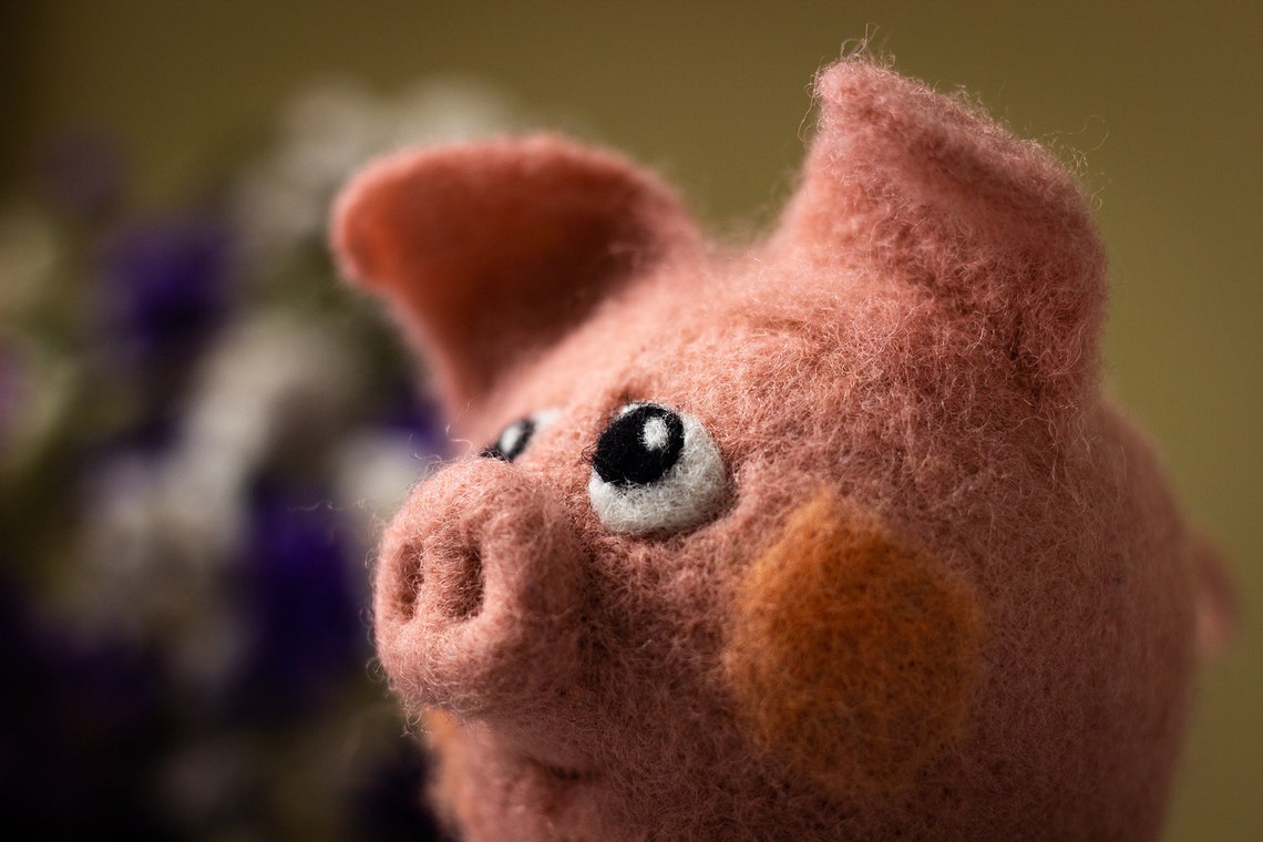 Punch Needle Felting Pig Beginner Craft Kit for Adults - Etsy