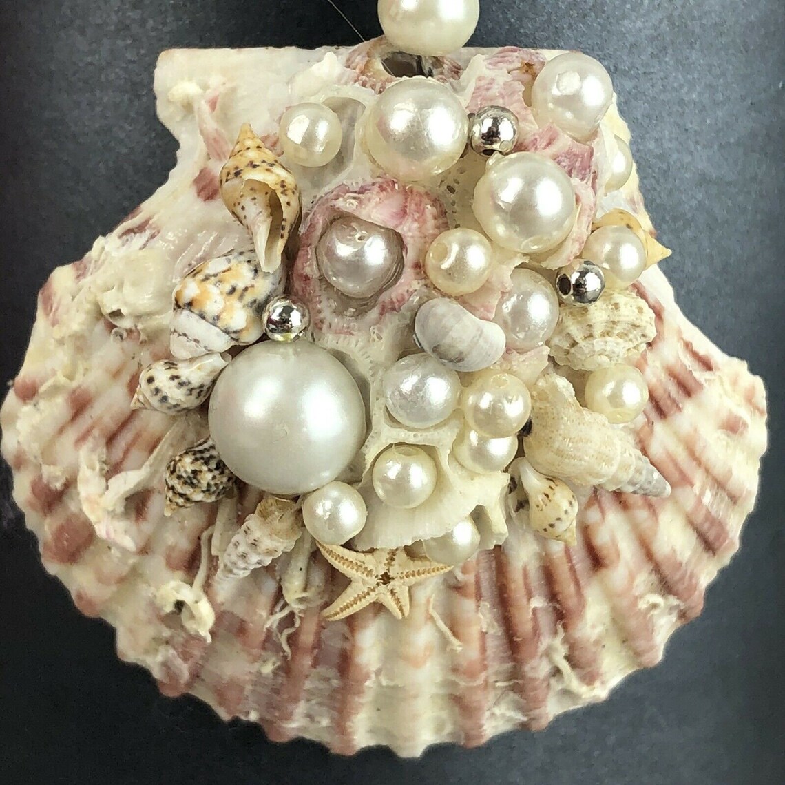 St Augustine Clam Shell Barnacles Pearl Starfish Handmade Pendant 24 ...