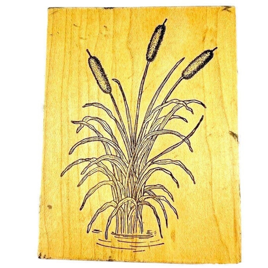 Vintage Great Impressions Cattails Pond Marsh Rubber Stamp H91 Reeds - Etsy