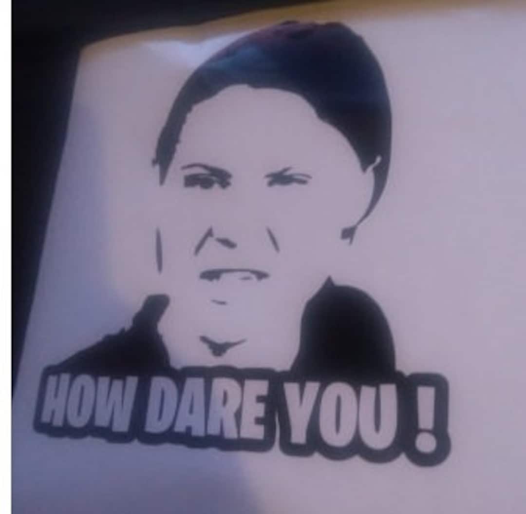 Greta Thunberg How Dare You Funny Decal, Sticker, Vinyl - Etsy