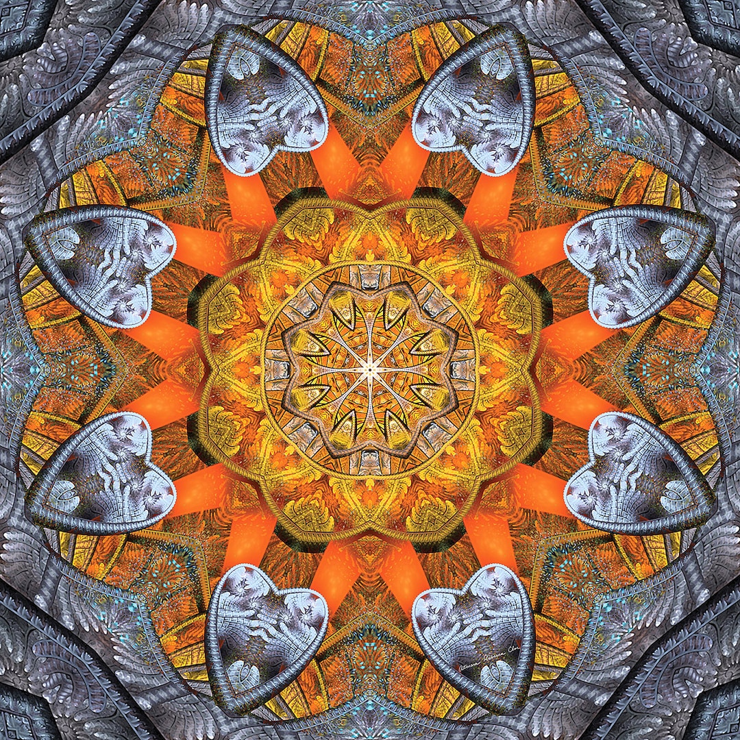 Mandala From the Heart of Compassion 6, Printable Art,wall Art,instant ...