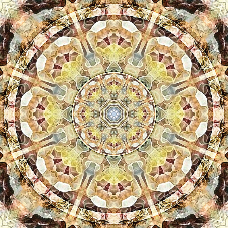 Mandalas From the Voice of Eternity 27, Art,wall Art,downloadable ...
