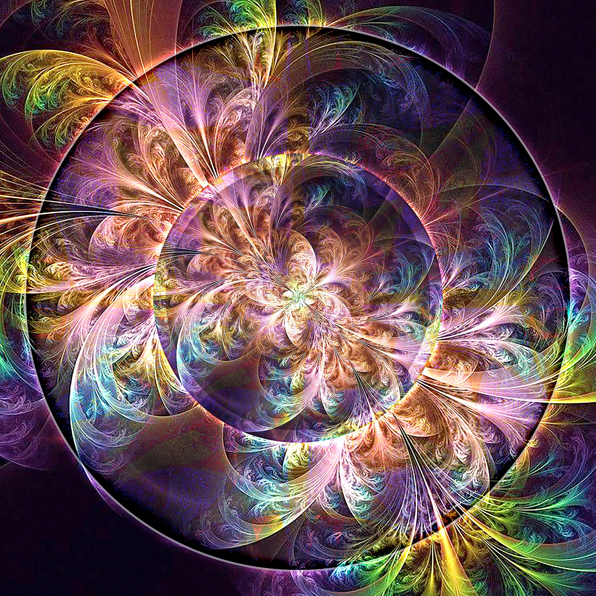 Mandalas of Unity 19 - Etsy