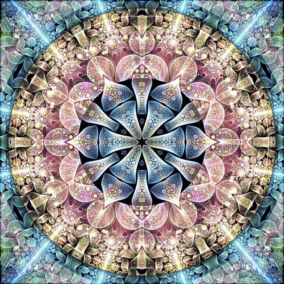 Mandala From the Heart of Compassion 1 Printable Art,wall Art,instant ...