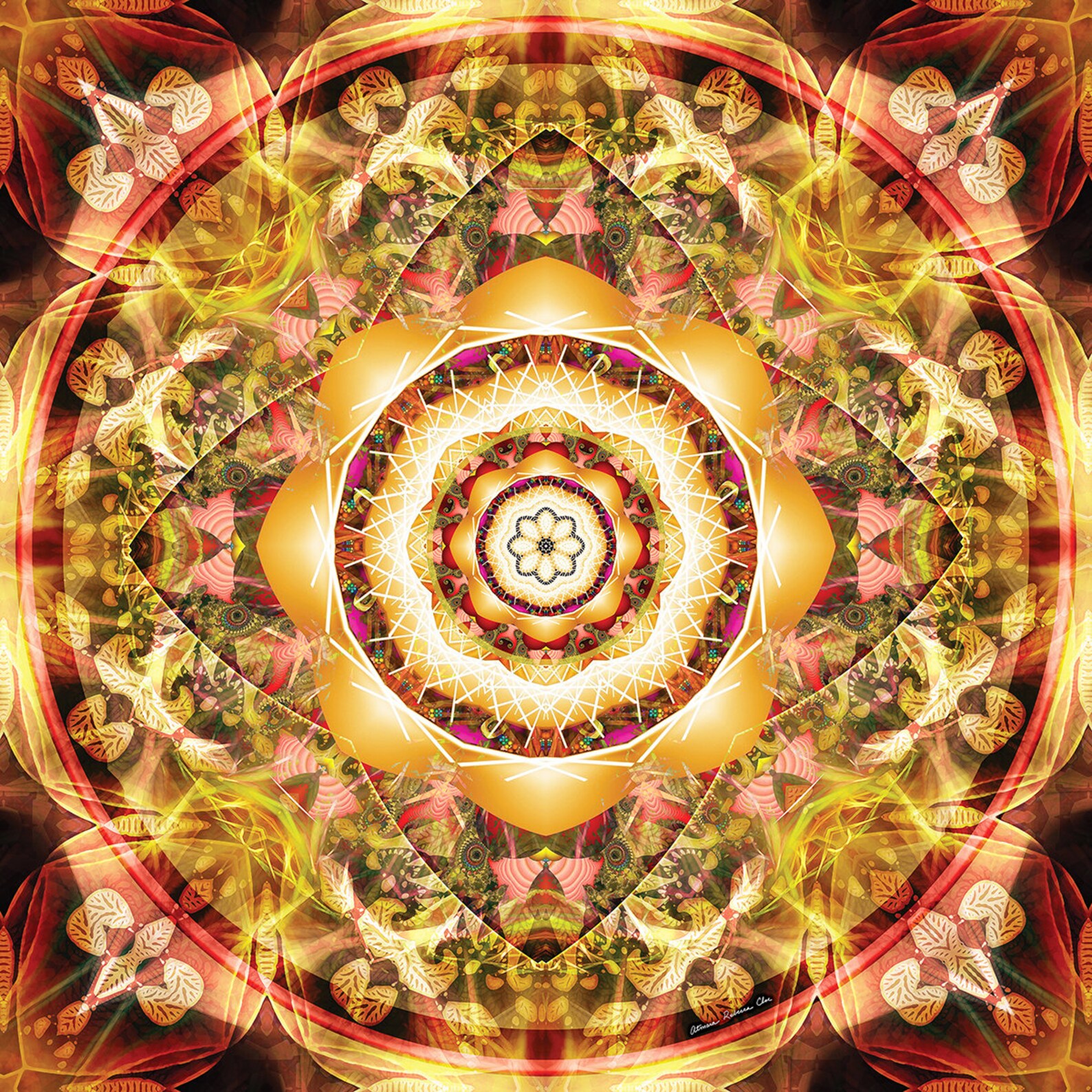 Mandala From the Heart of Compassion 10,printable Art,wall Art,instant ...
