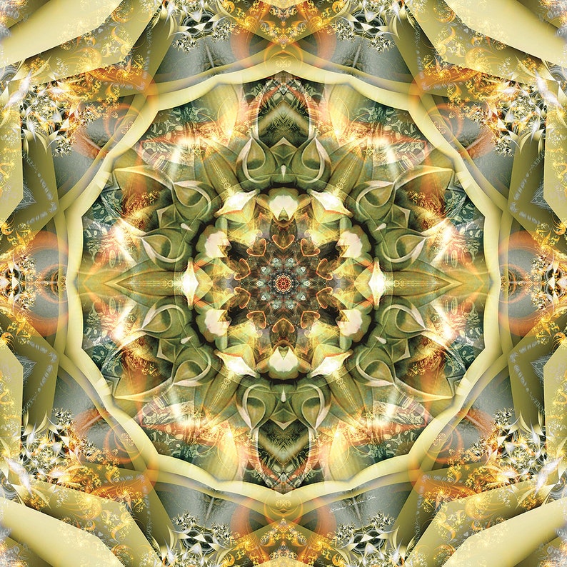 Mandala From the Heart of Compassion 29,printable Art,wall Art,instant ...