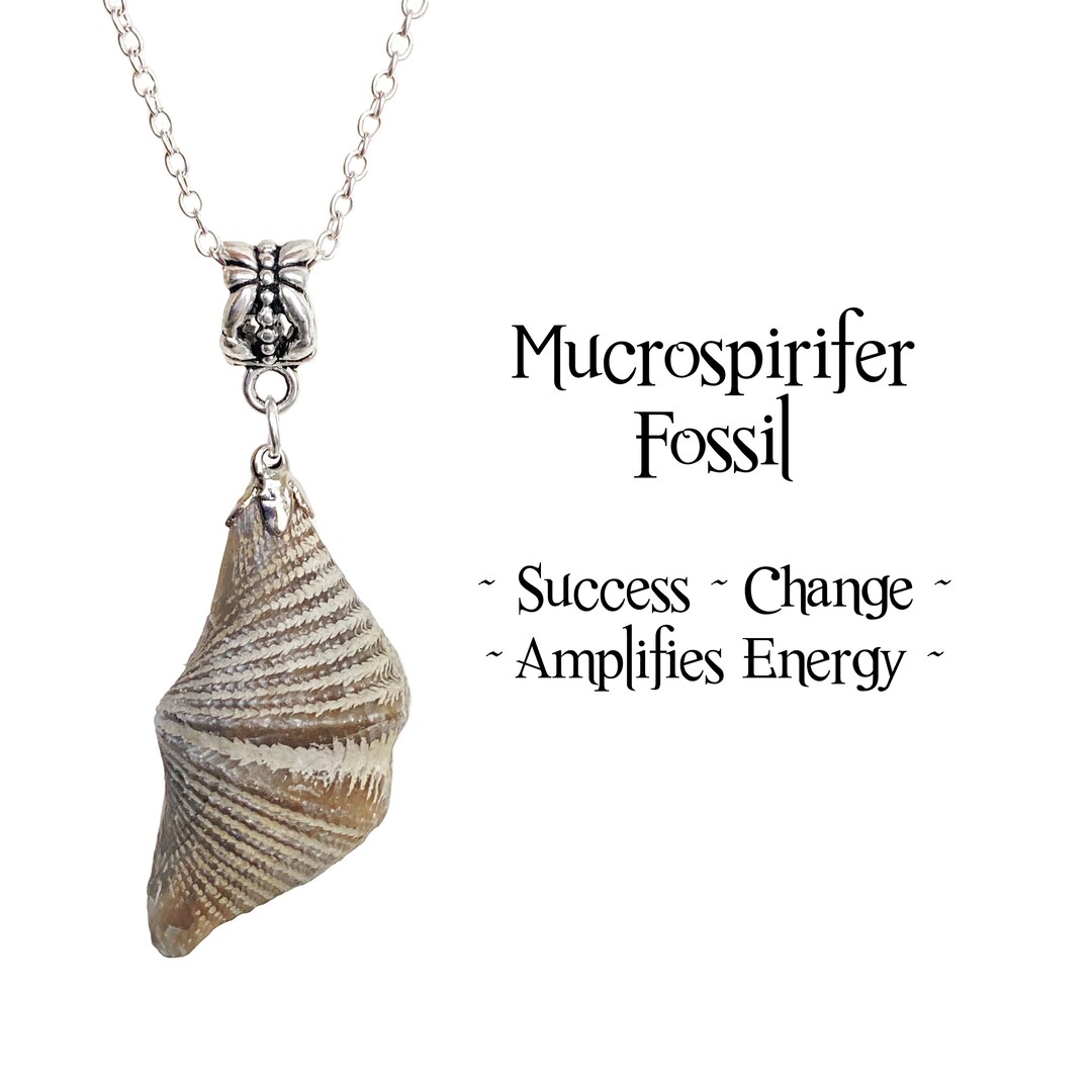 Fossil Necklace, Mucrospirifer the Winged Brachiopods Fossil Pendant ...